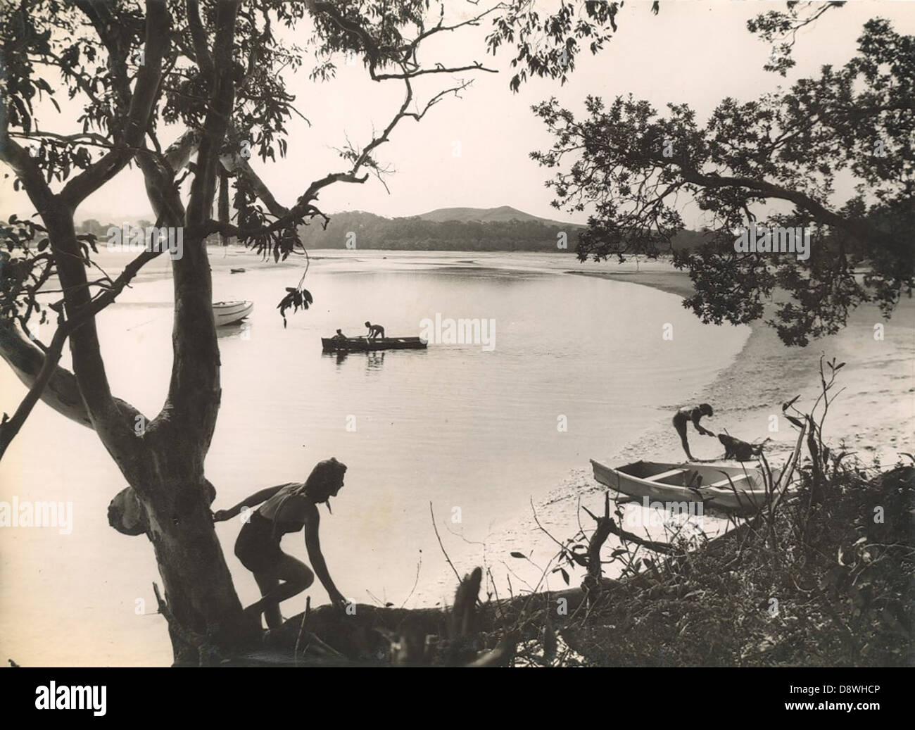 Brunswick River, Brunswick Heads (NSW Stock Photo - Alamy