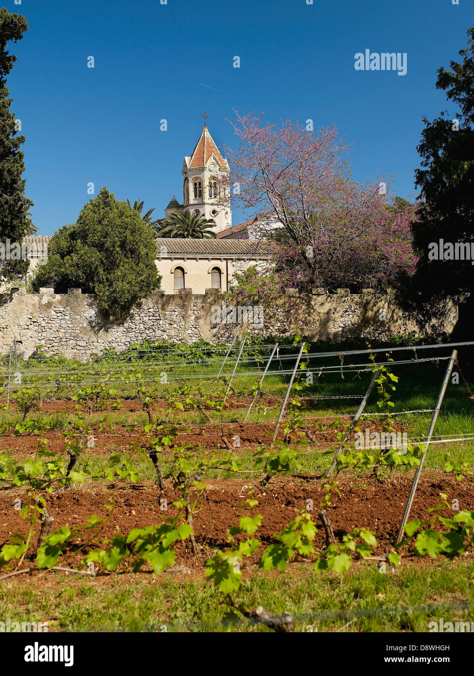 Saint honorat island hi-res stock photography and images - Alamy