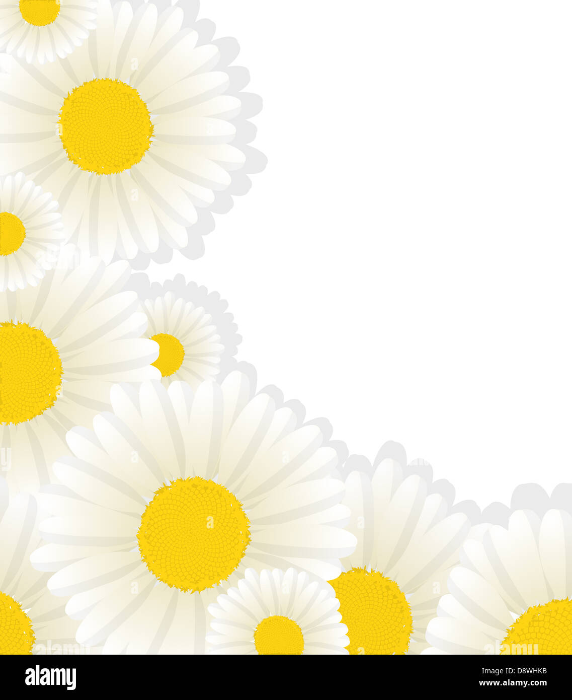Daisy corner design with copy space Stock Photo - Alamy