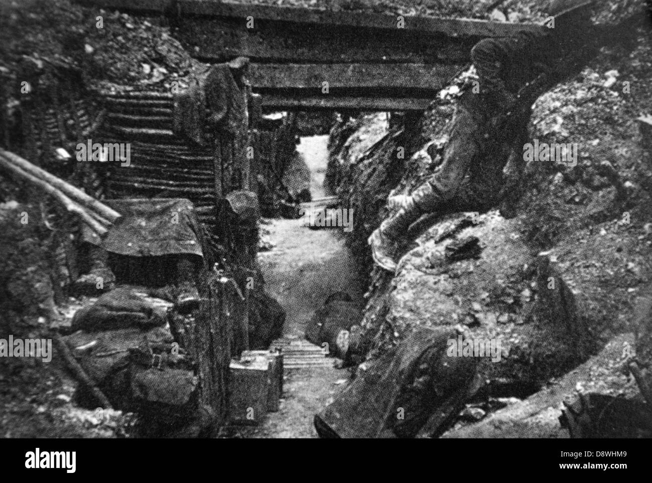 Wwi trenches hi-res stock photography and images - Alamy