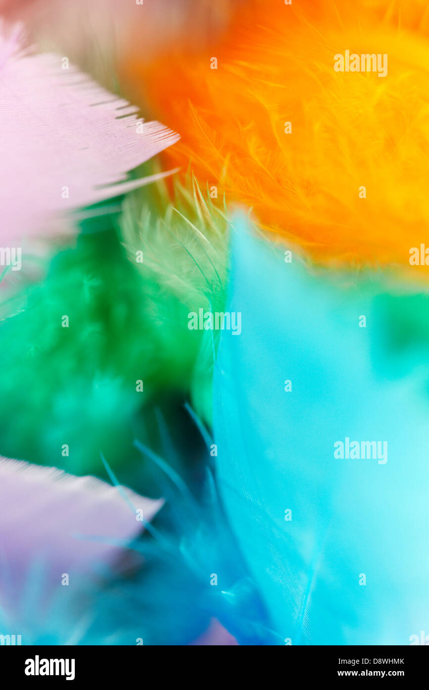 Colored feathers hi-res stock photography and images - Alamy
