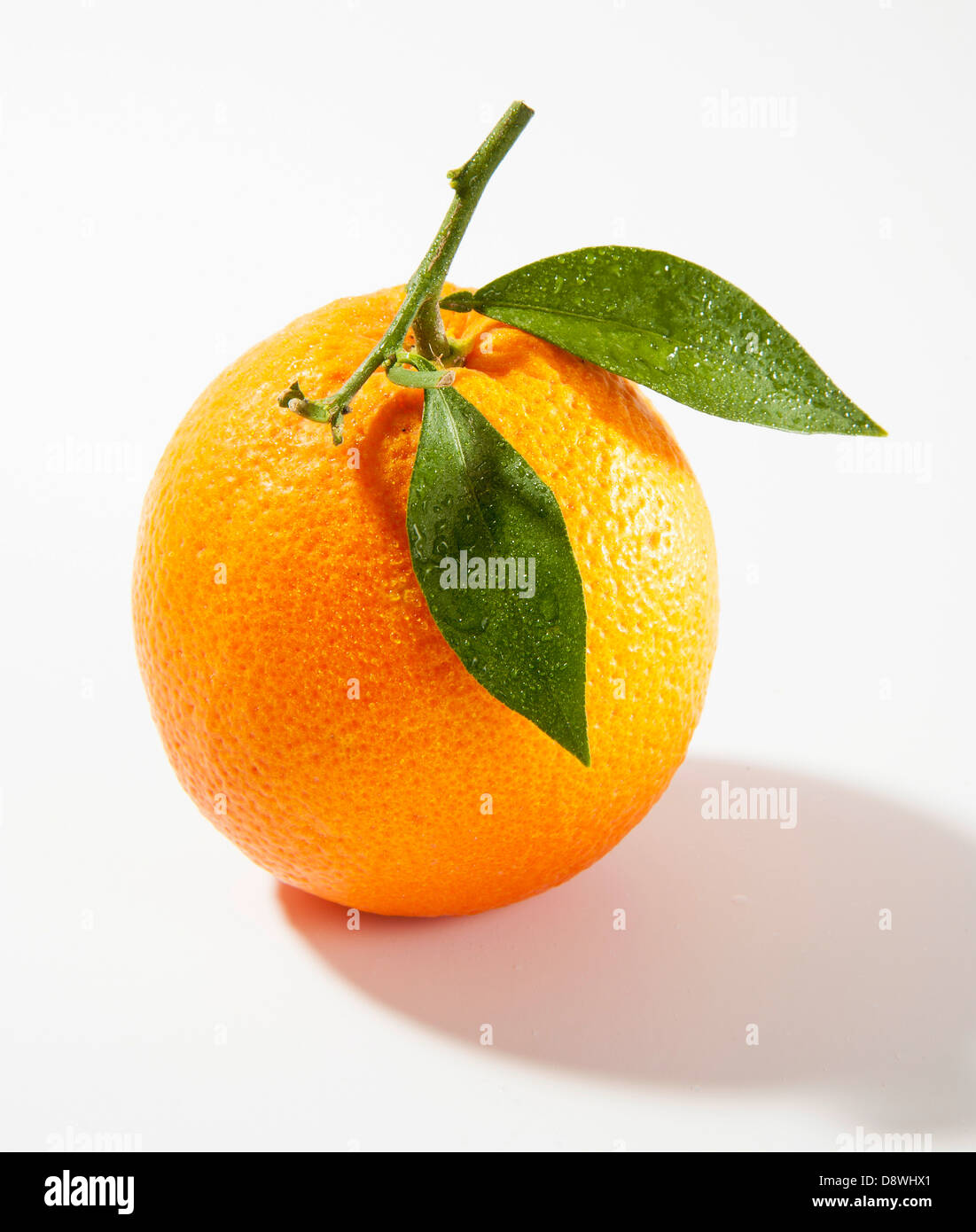 Cut out orange hi-res stock photography and images - Alamy