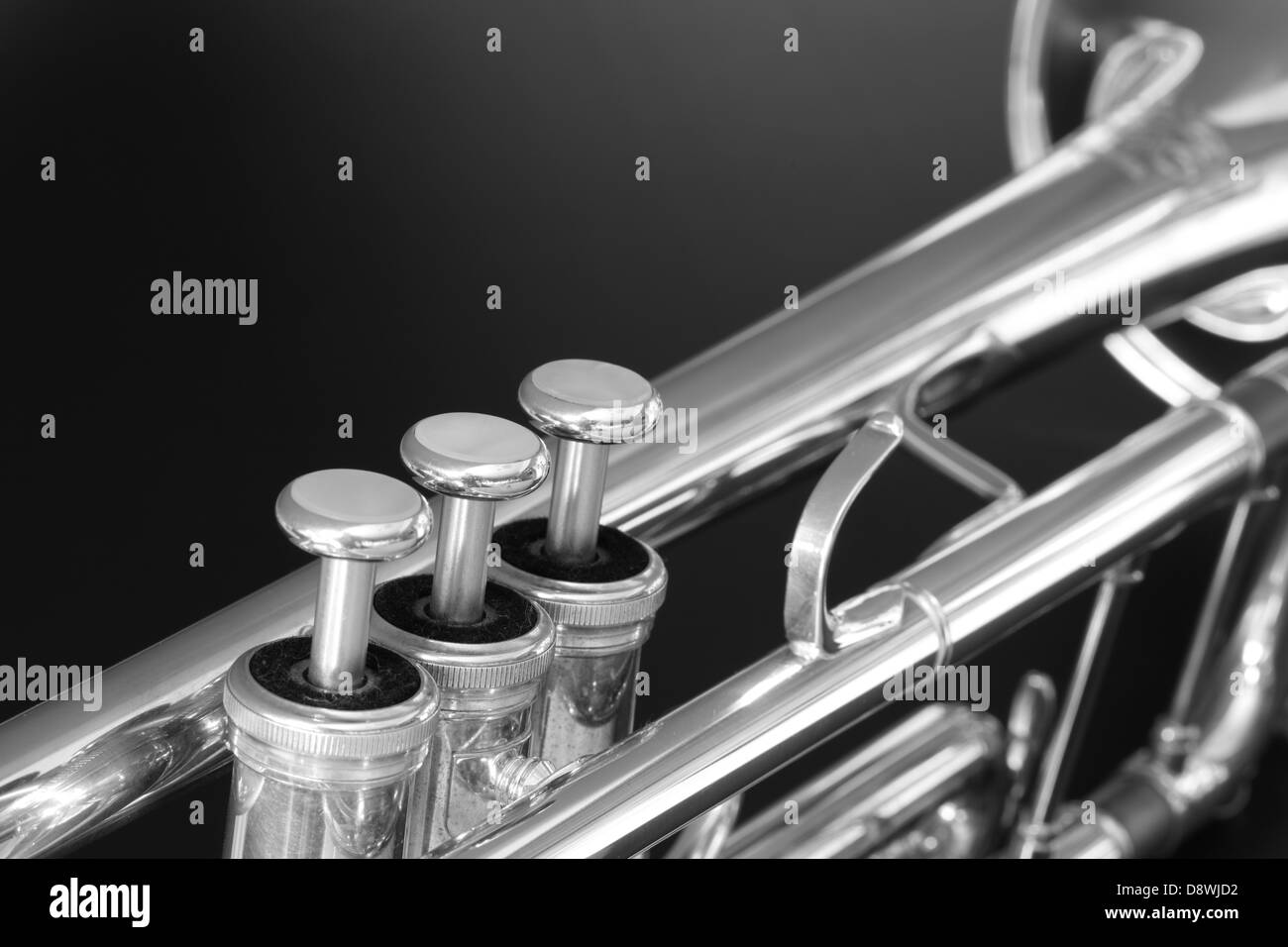 Trumpet player white background hi-res stock photography and images - Alamy