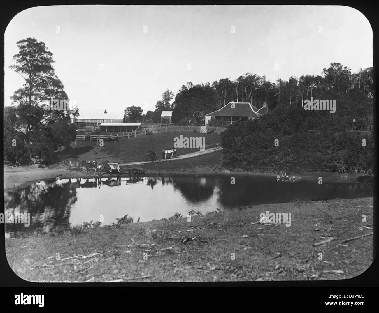 White mountain region new Black and White Stock Photos & Images - Alamy