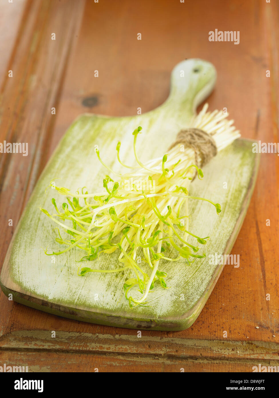 Cereal sprouts hi-res stock photography and images - Alamy
