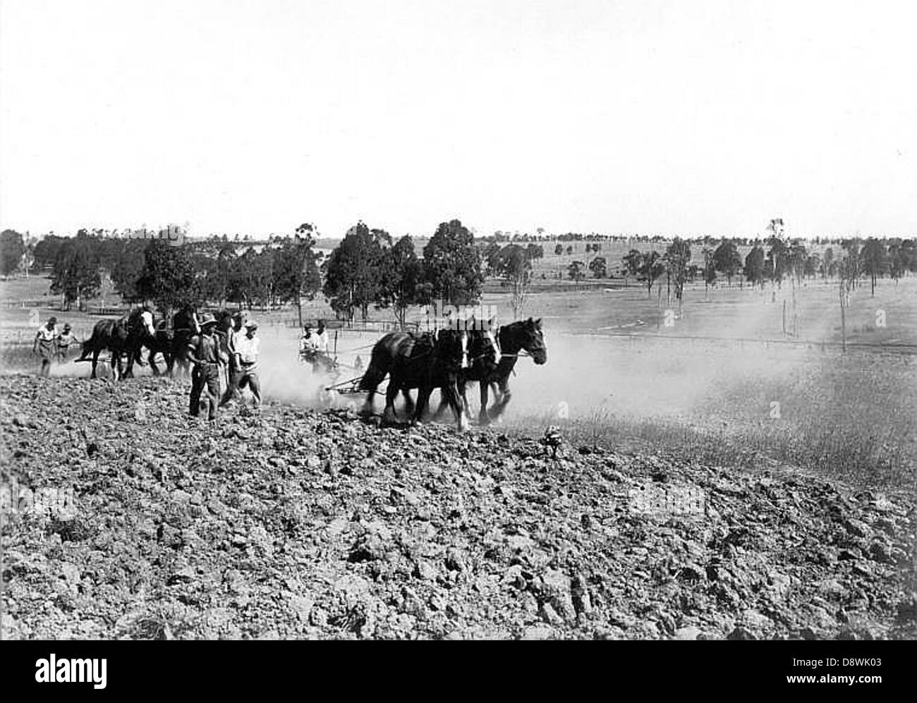Australian fields Black and White Stock Photos & Images - Alamy