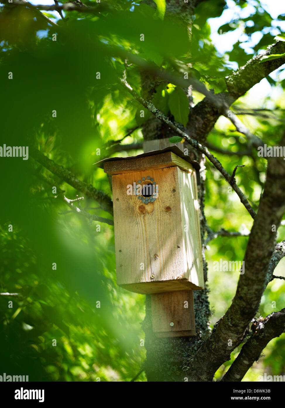 Nesting box on tree Stock Photo - Alamy