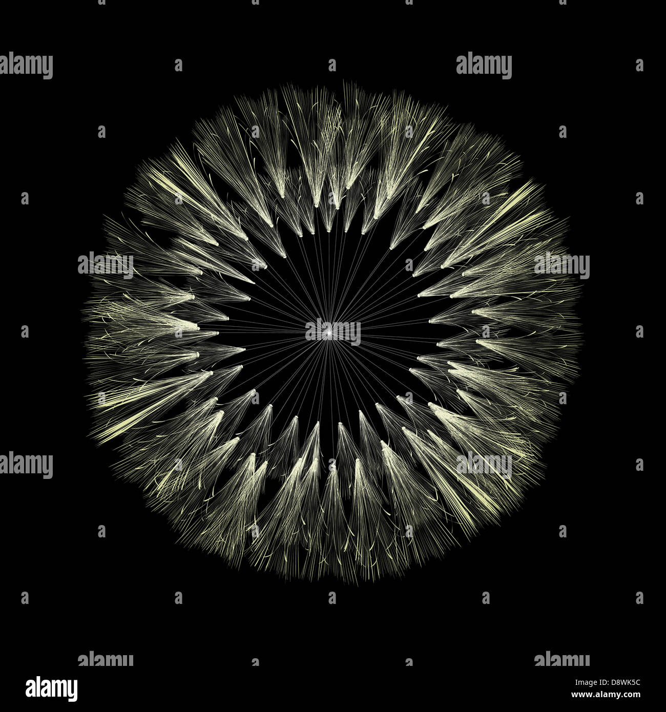 Dandelion sketch, abstract art illustration Stock Photo - Alamy