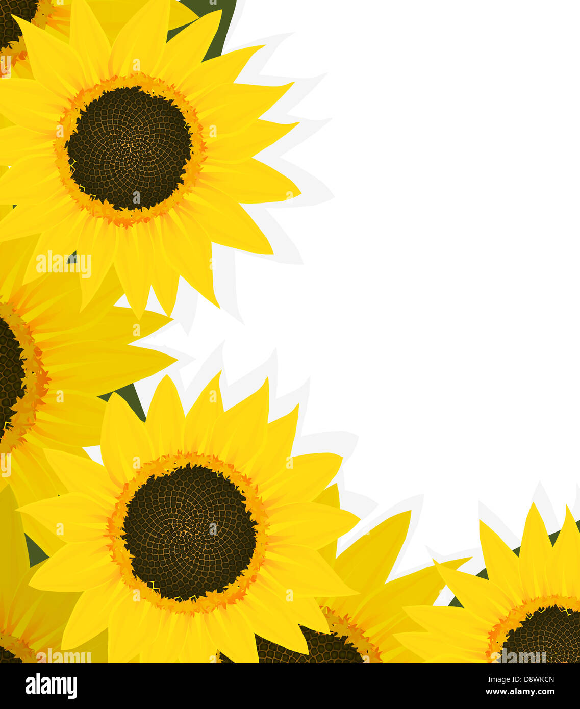 Sunflower Corner Design