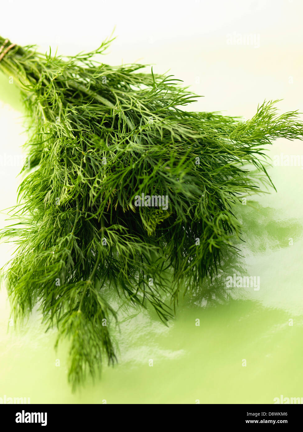 Bunch of dill Stock Photo - Alamy
