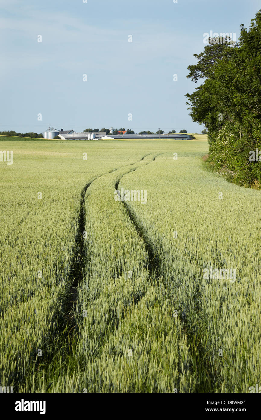 Tracks in field Stock Photo - Alamy
