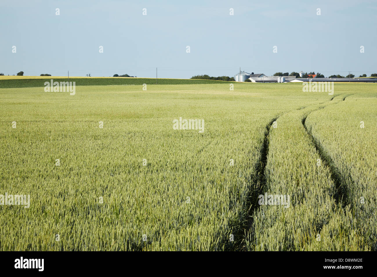 Tracks in field Stock Photo - Alamy