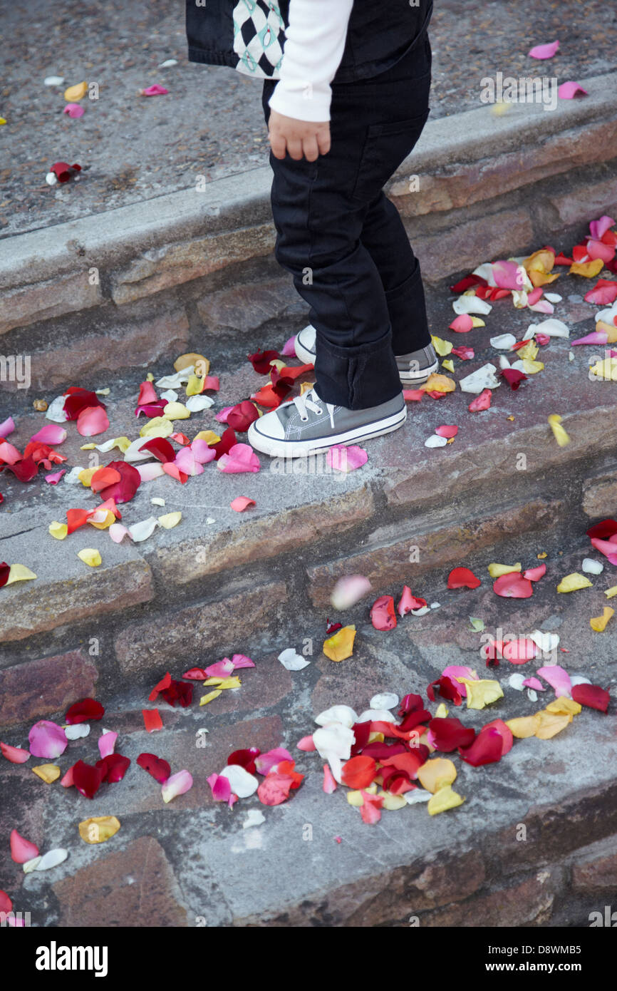 Boy standing on steps covered by rose petals Stock Photo - Alamy