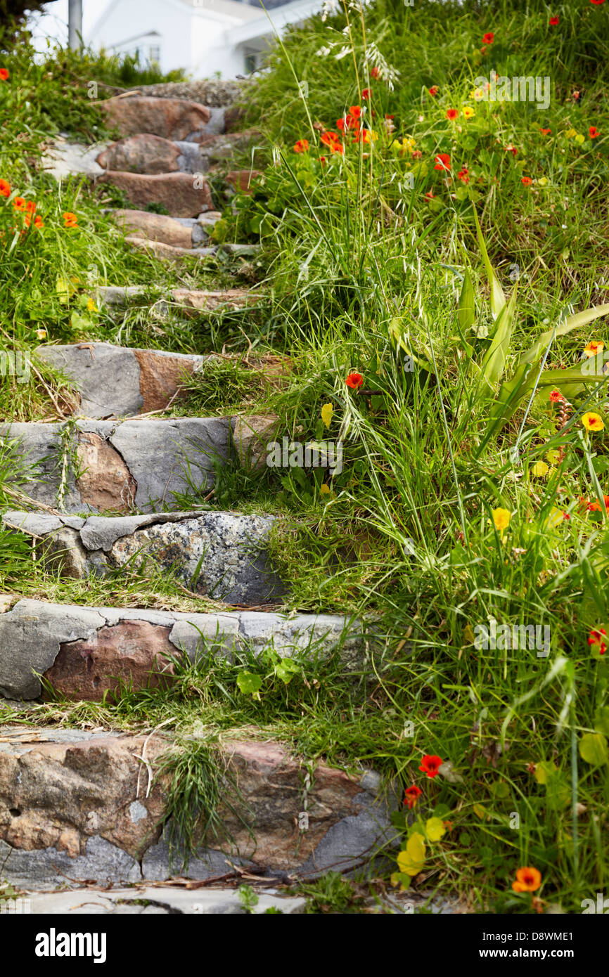 Flowers along stone steps Stock Photo - Alamy