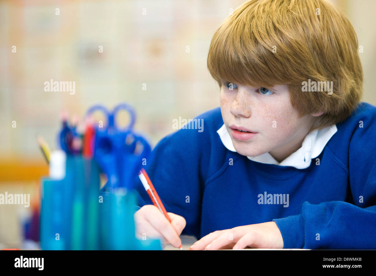 Young school boy studying at school Stock Photo - Alamy