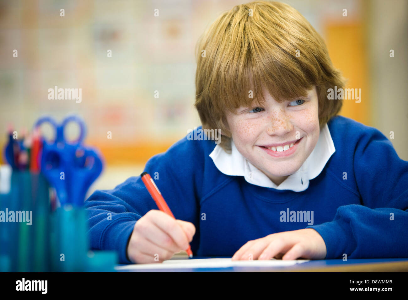 Young school boy studying at school Stock Photo - Alamy