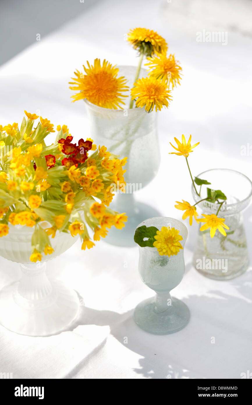 Yellow flower in vases Stock Photo - Alamy