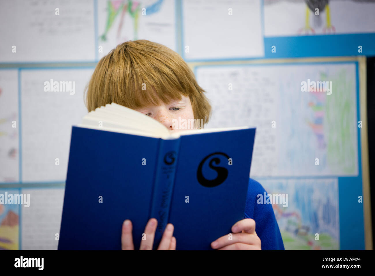 Young school boy reading a book Stock Photo - Alamy
