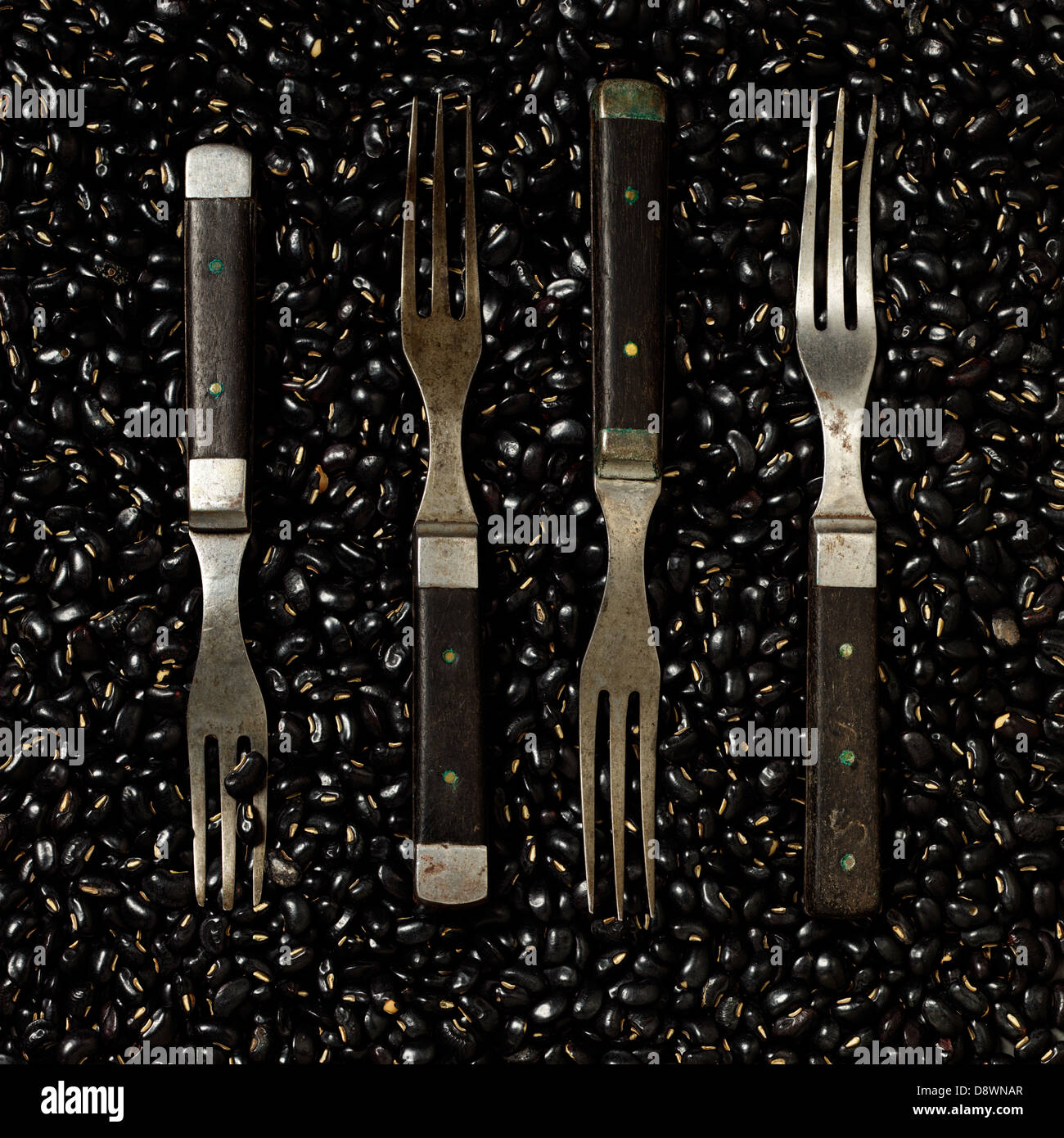 Still Life of Forks on Coffee Beans Stock Photo - Alamy