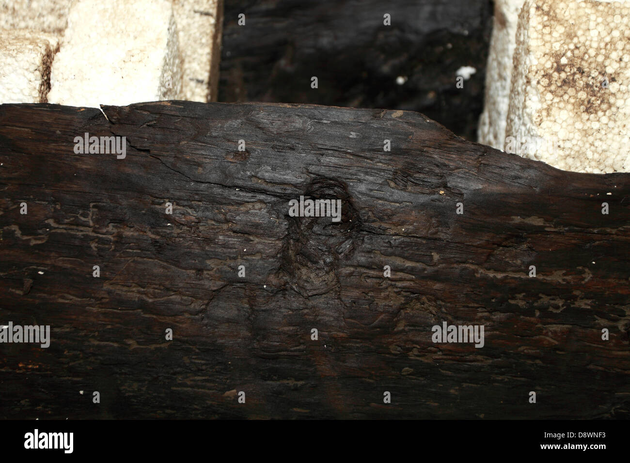 Log boats hi-res stock photography and images - Alamy
