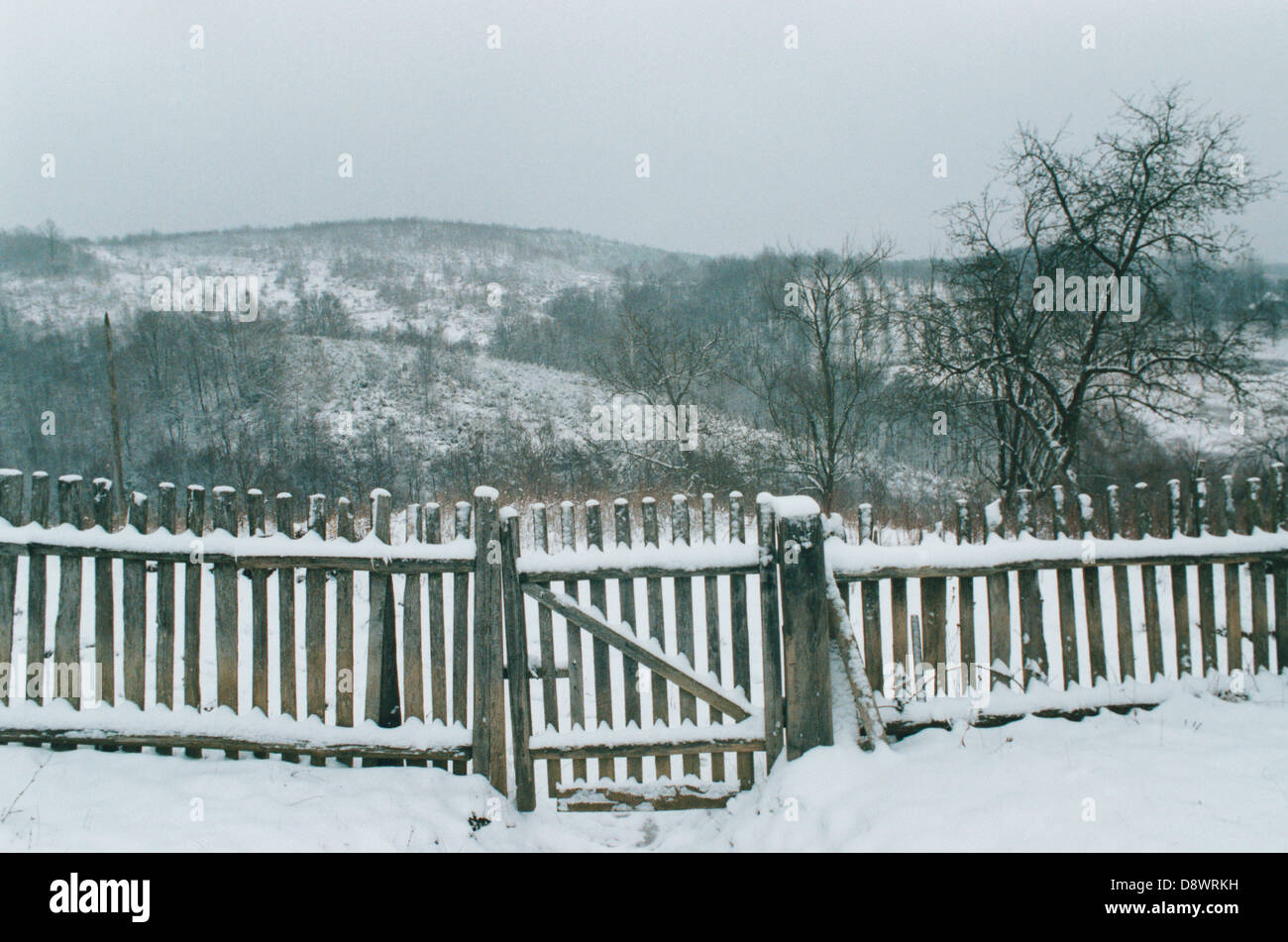Fences with mountains and forest in the background Stock Photo - Alamy
