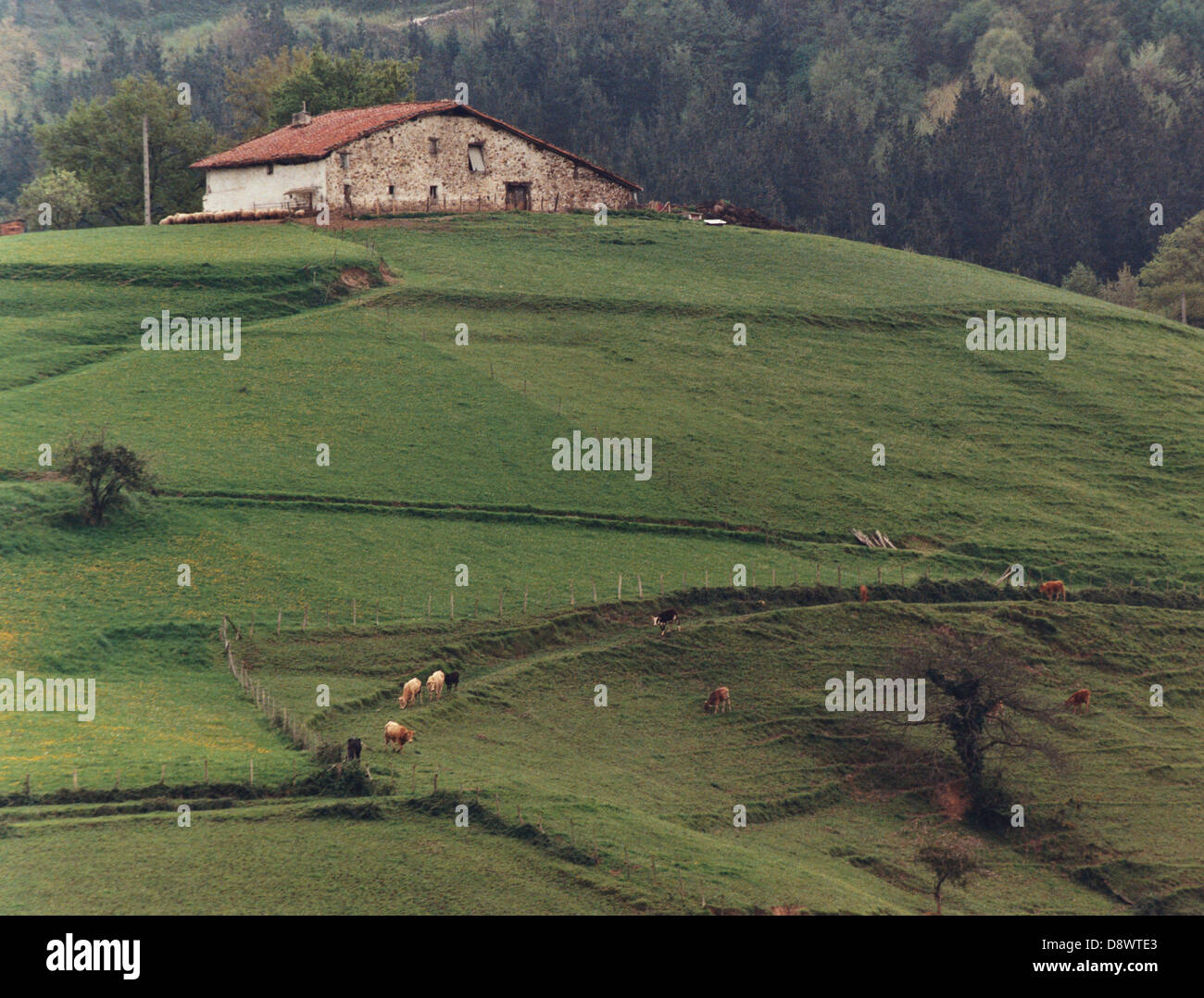 View over pasture and a hill with houses on the top Stock Photo - Alamy