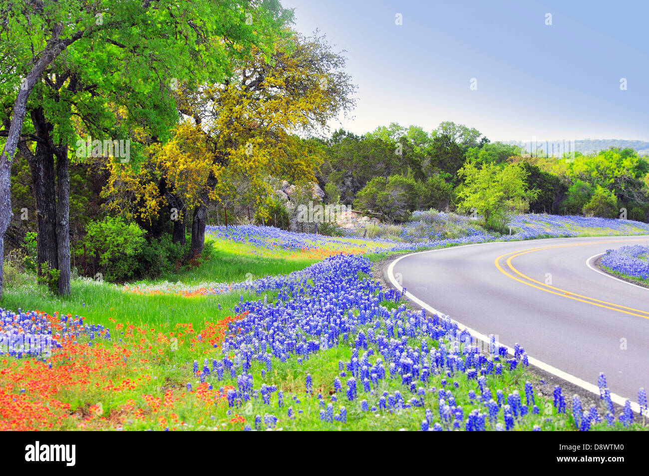 Scenic road and bluebonnets, Texas, USA Stock Photo - Alamy