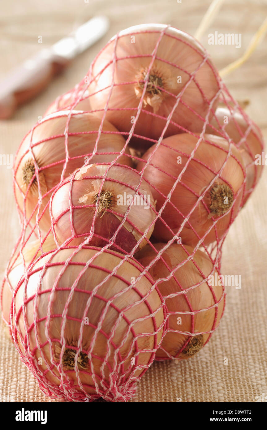 Rose de roscoff onion hi-res stock photography and images - Alamy