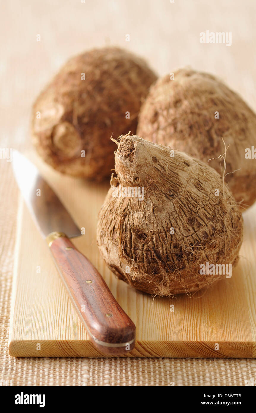 Eddoe hi-res stock photography and images - Alamy