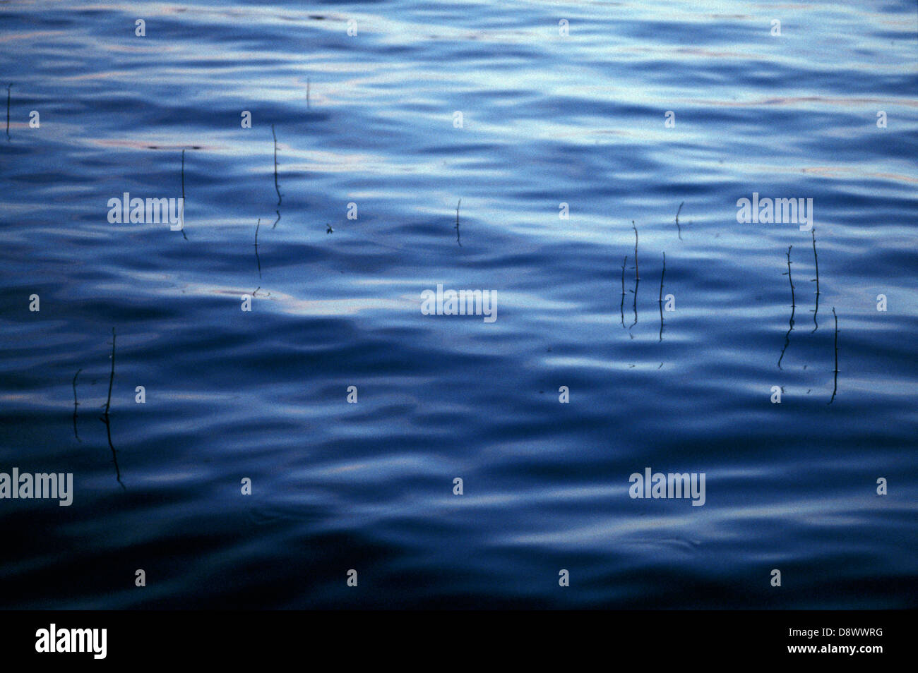 Water Surface on a Lake Stock Photo - Alamy
