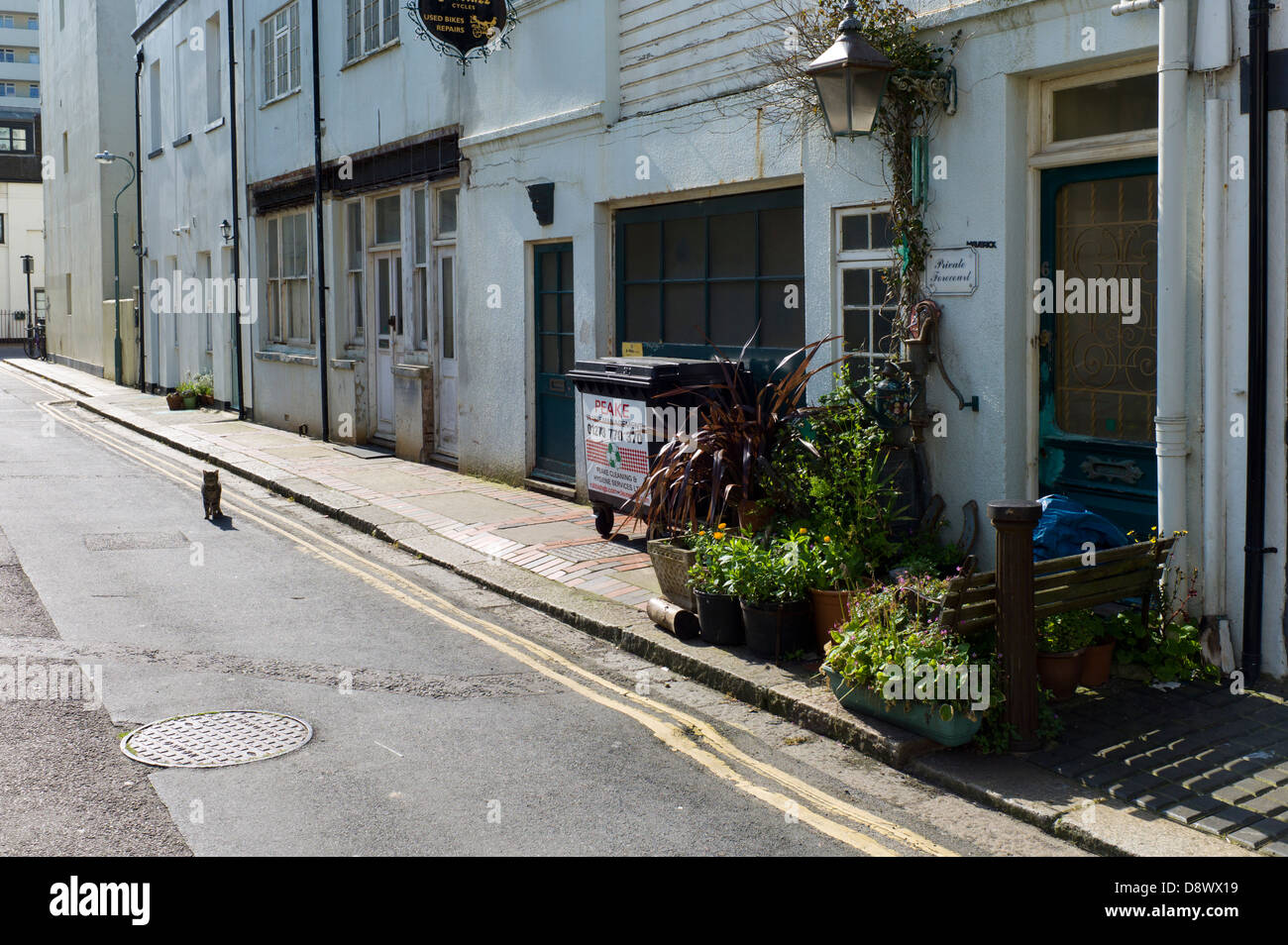 Empty street cat hi-res stock photography and images - Alamy