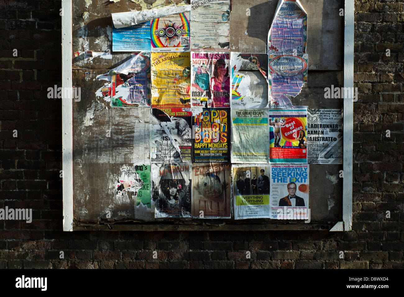 Torn posters on hoarding, Brighton, UK Stock Photo - Alamy
