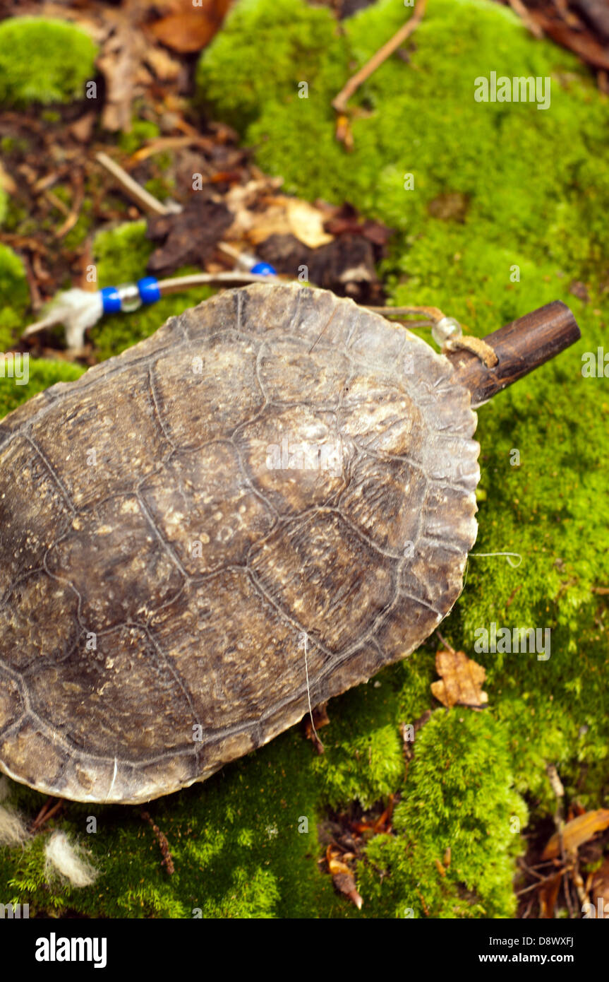 shaman's turtle shell rattle sitting on the moss covered ground evoking ...