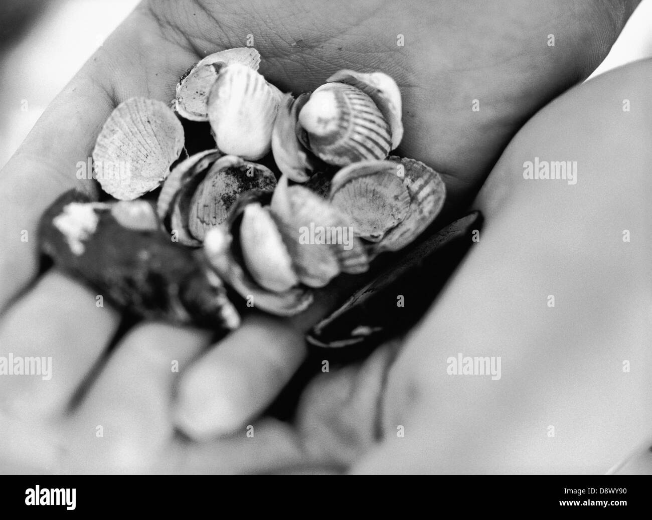 Human shell Black and White Stock Photos & Images - Alamy