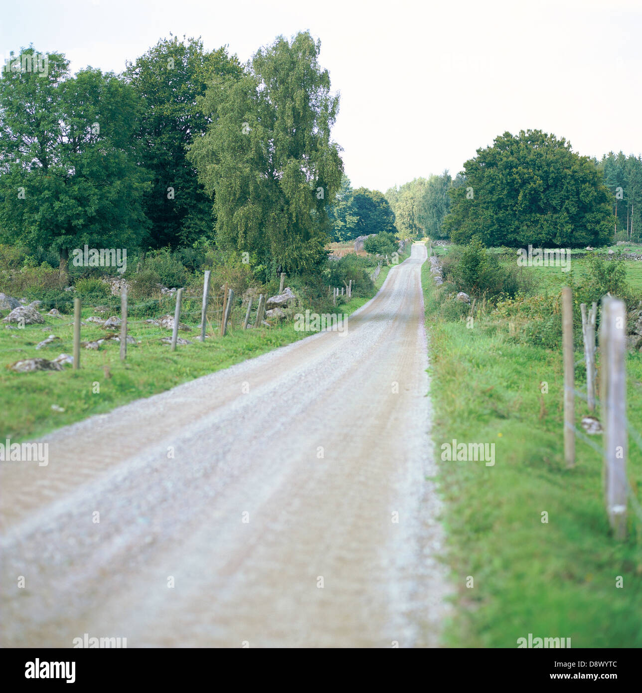 Summer landscapes hi-res stock photography and images - Alamy