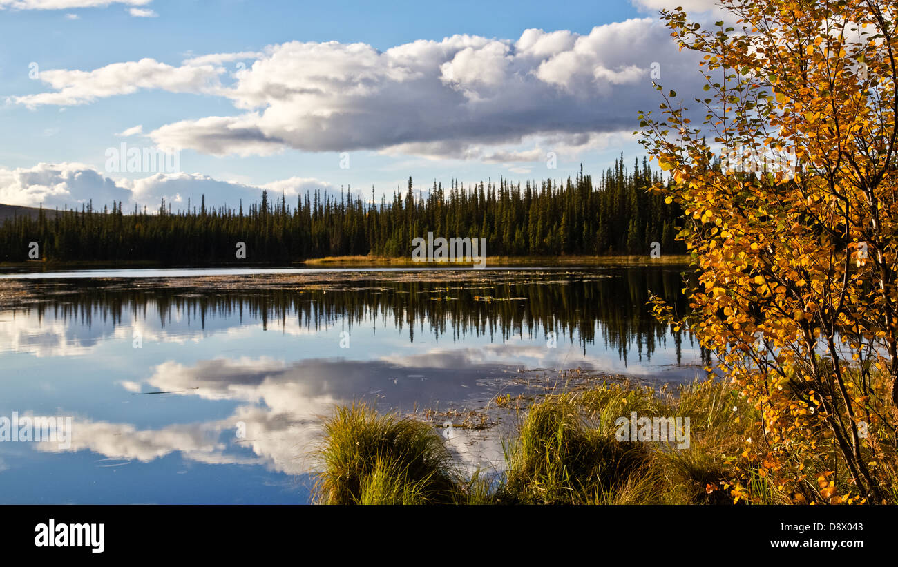 Alaskan Lake in Fall Stock Photo - Alamy