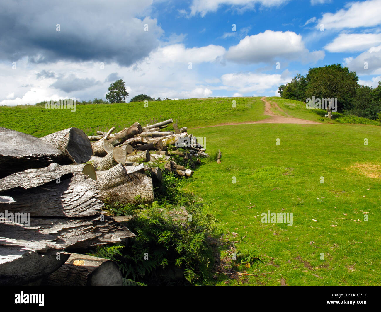 The clent hills hi-res stock photography and images - Alamy