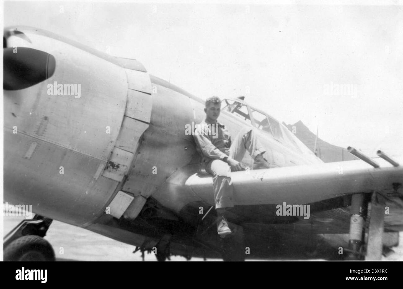 The Republic P-47D Thunderbolt, a World War II fighter aircraft, is ...