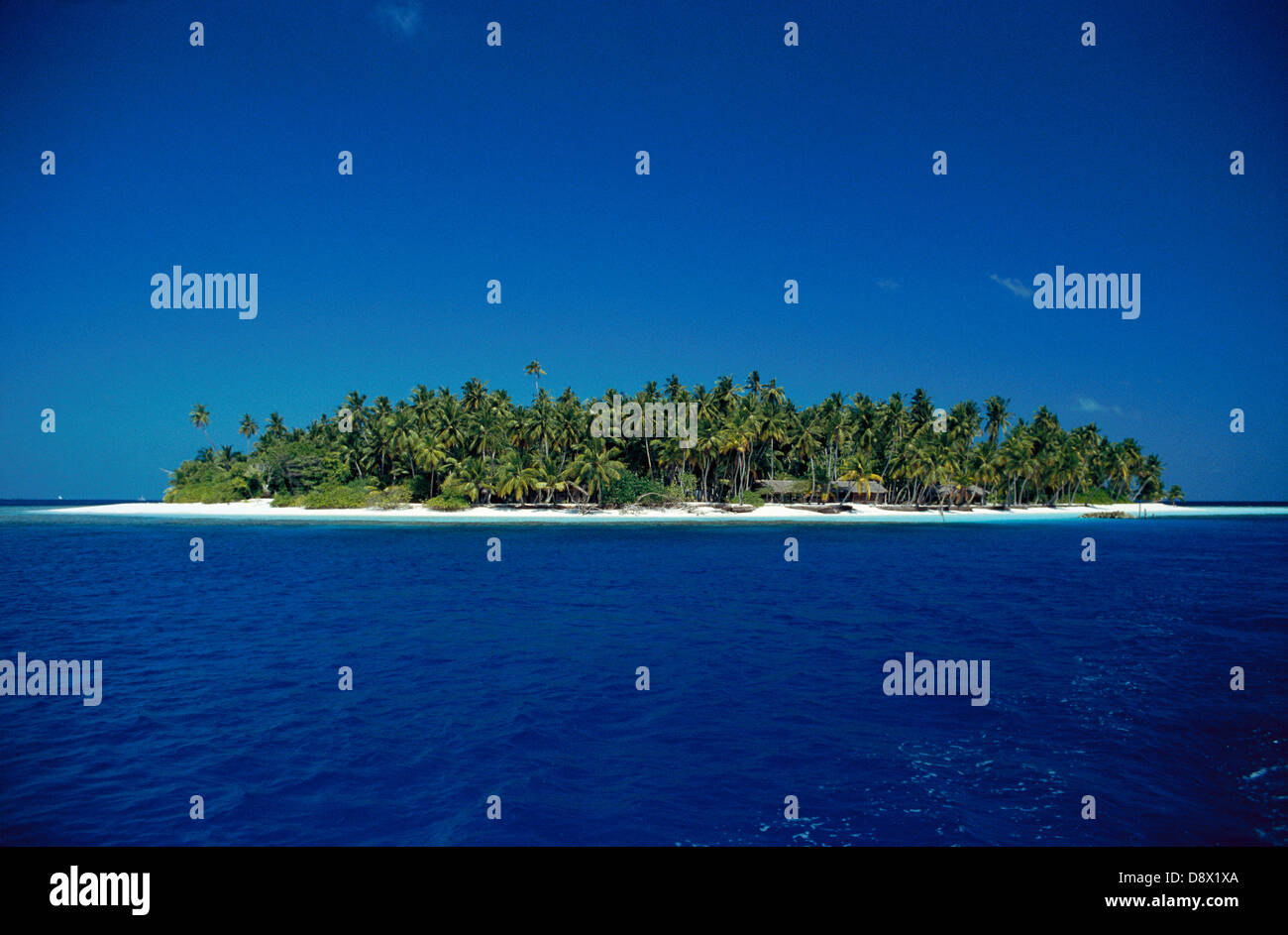 Island with palm-trees Stock Photo - Alamy