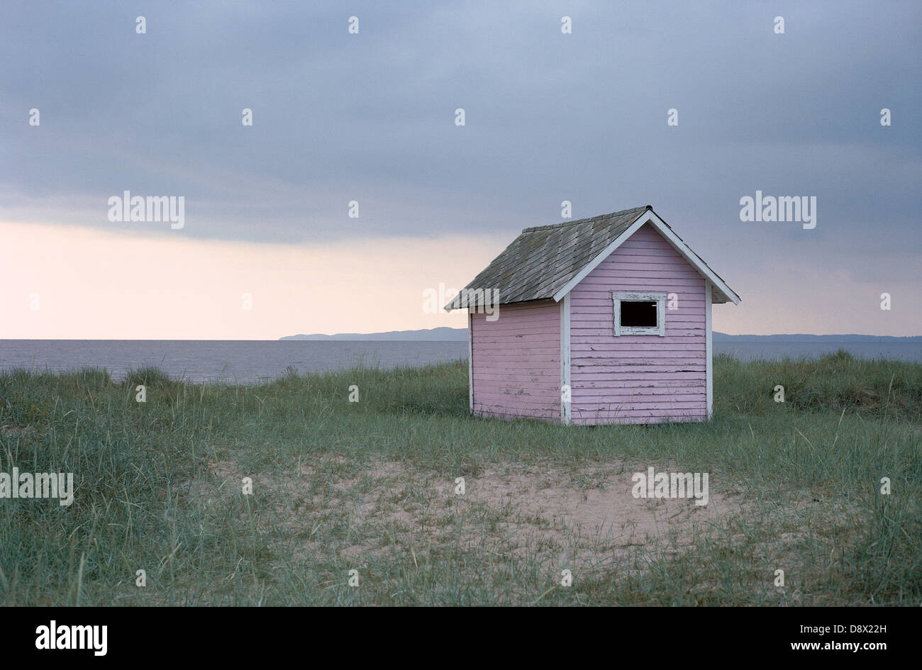 Pink shed on lawn Stock Photo - Alamy