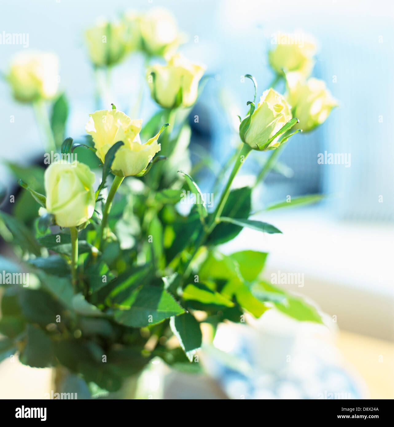 A bouquet of roses Stock Photo - Alamy