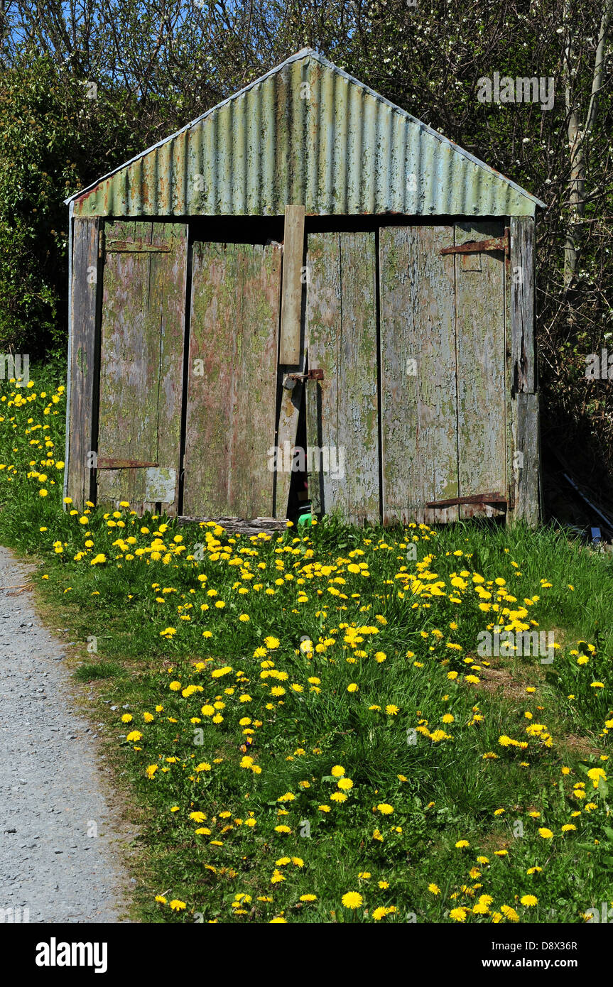 Old Garden Shed