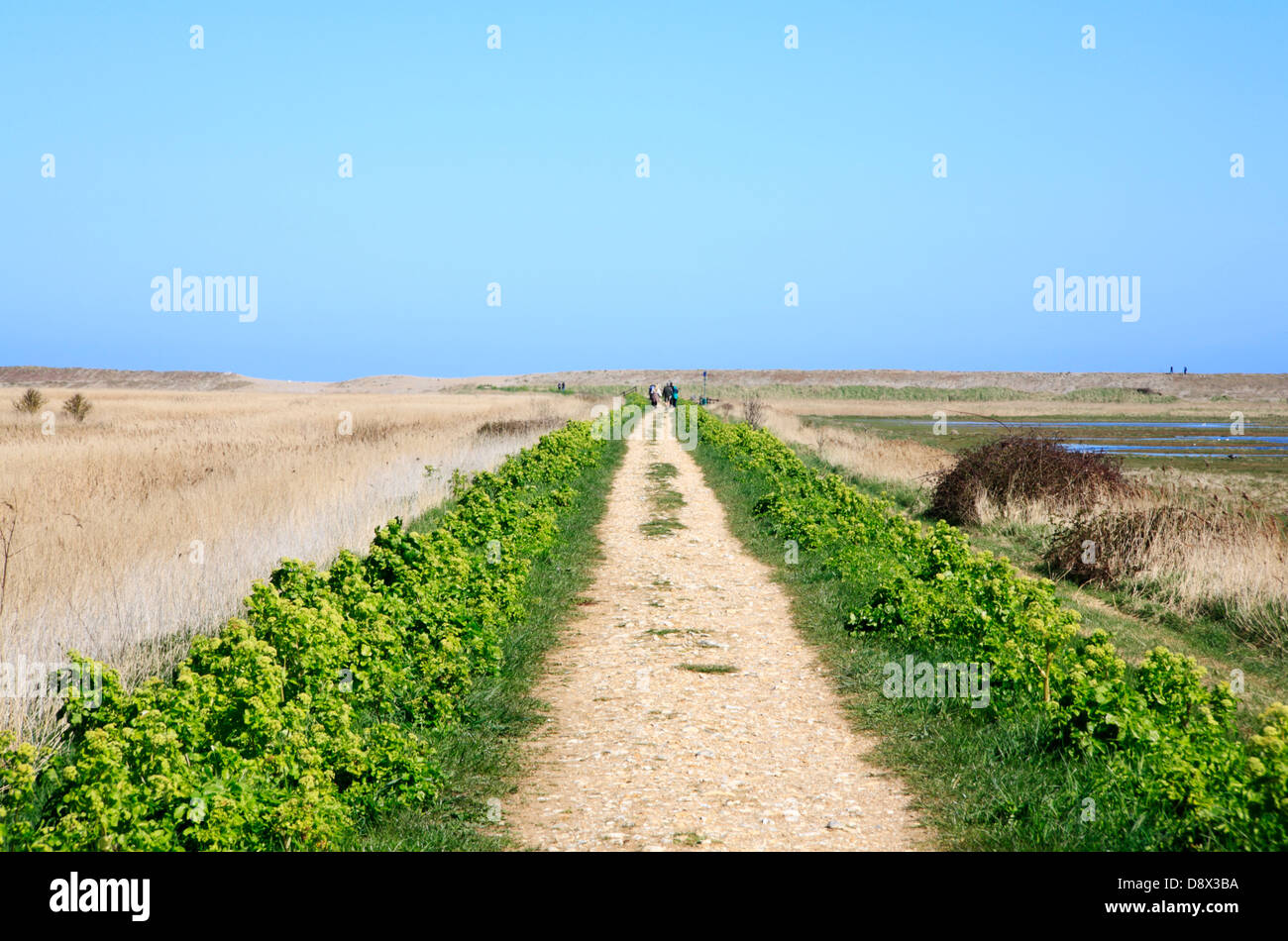 Cley Marsh Nature Reserve High Resolution Stock Photography and Images ...