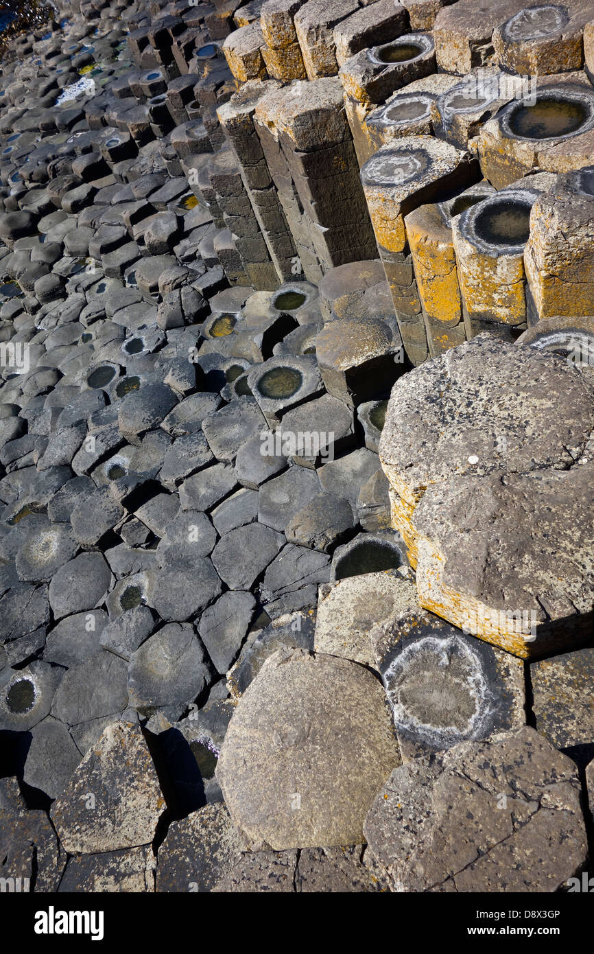 Giants causeway blocks columns Stock Photo - Alamy