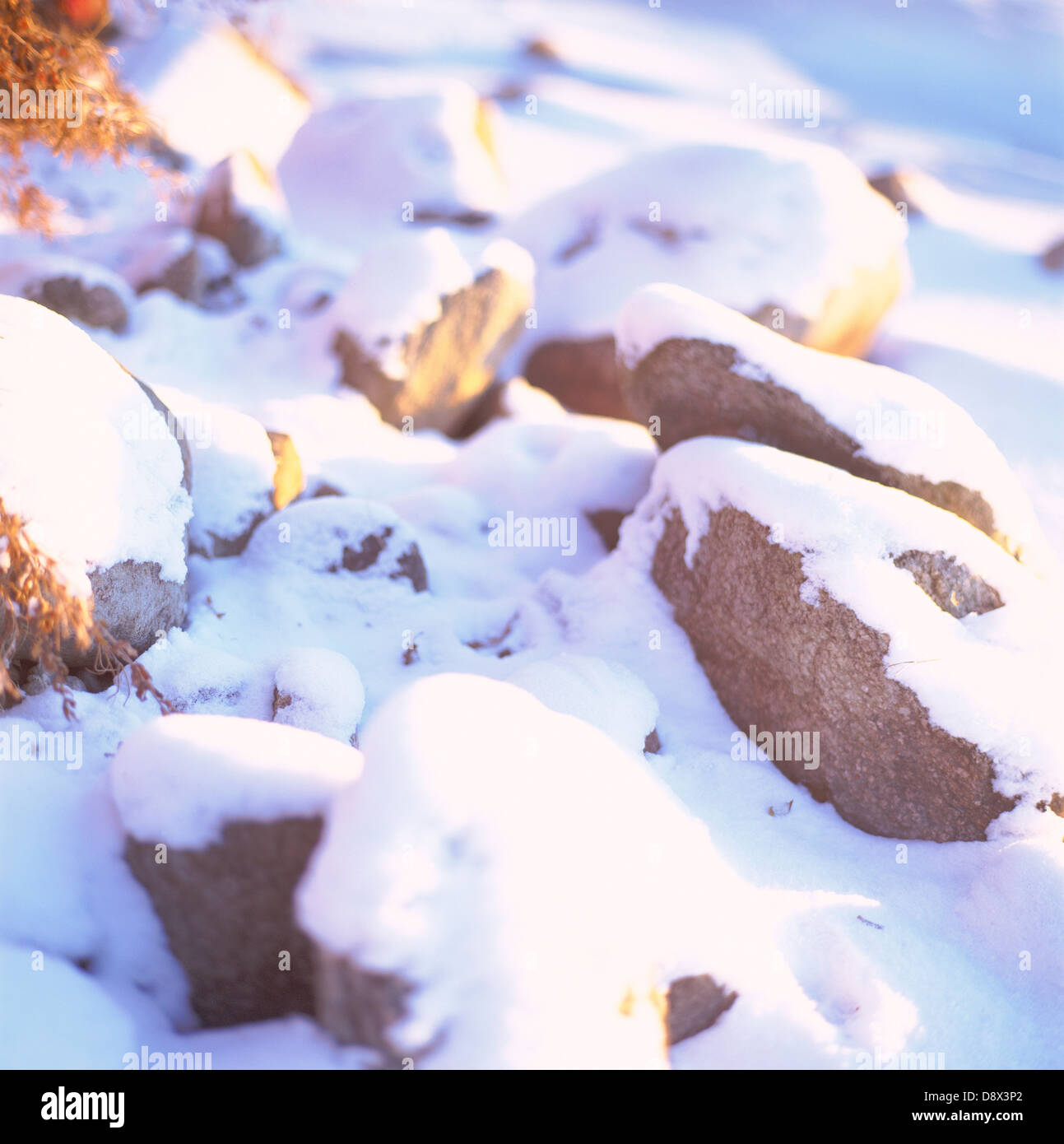 Snow covered stones Stock Photo - Alamy