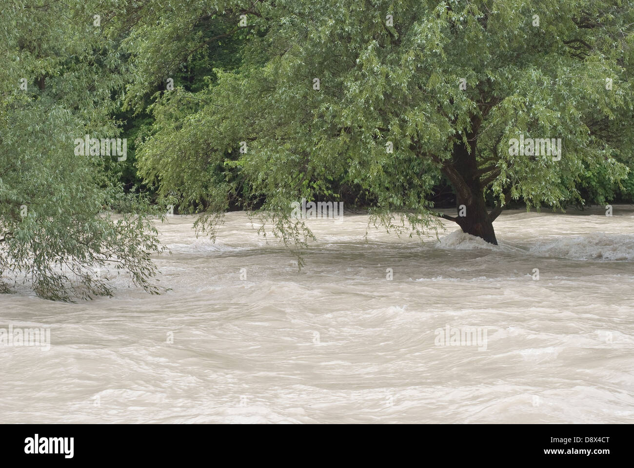 River Flooding after Heavy Rain in Europe Stock Photo - Alamy