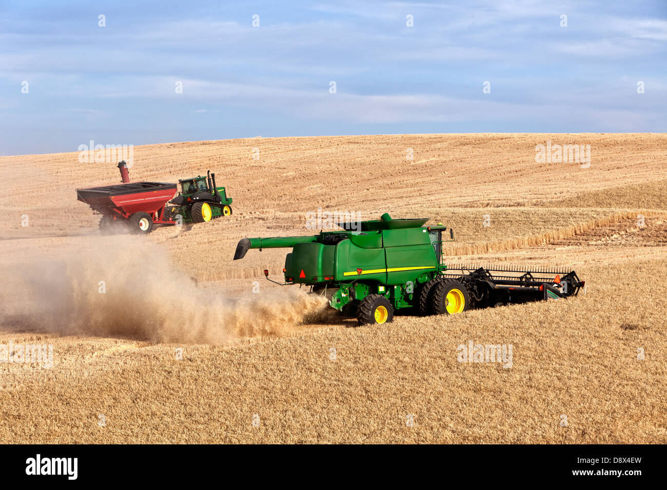 Harvesting wheat grains tractor hi-res stock photography and images - Alamy