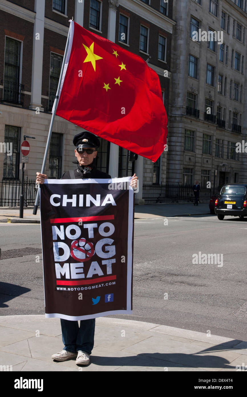 Dog meat trade cruelty hi-res stock photography and images - Alamy