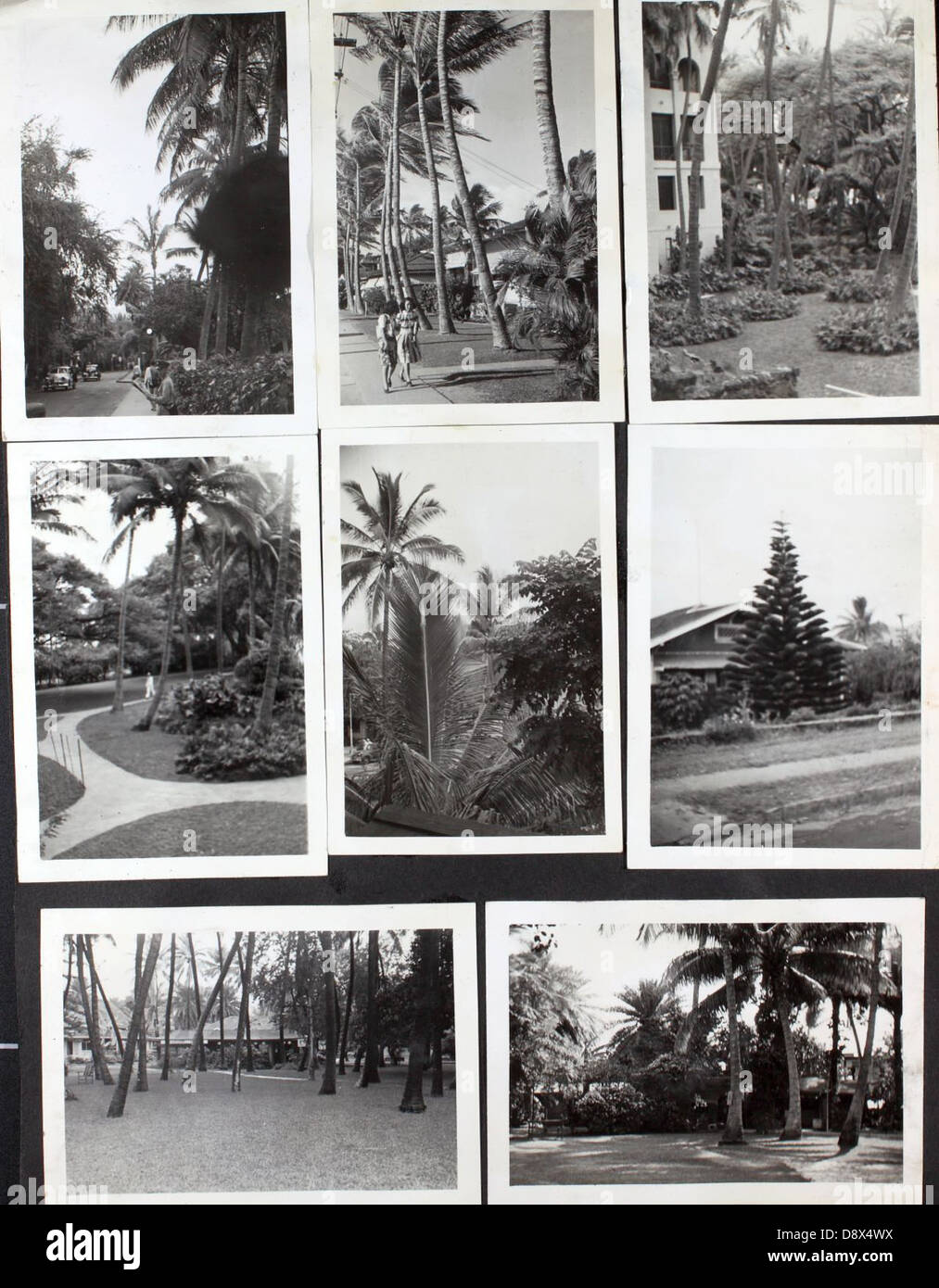 A photo from the VP102 Collection showing the Consolidated PB4Y-1 ...