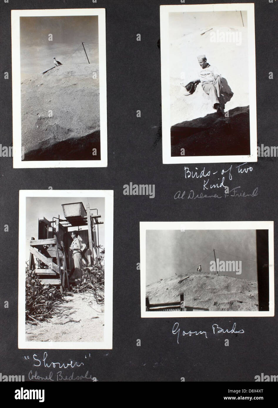 The VP102 Collection from 1942-1944 includes images of the PB4Y ...